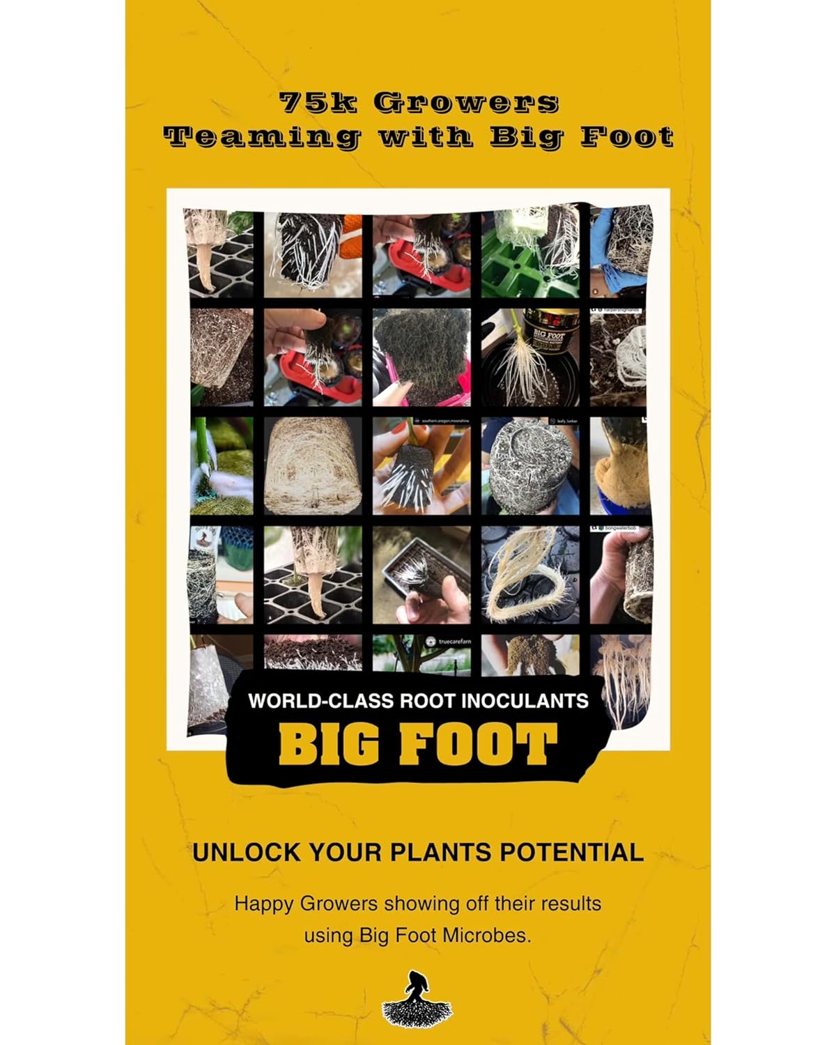 Big Foot Mycorrhizae Granular | Organic Root Enhancing Formula | Worm ...